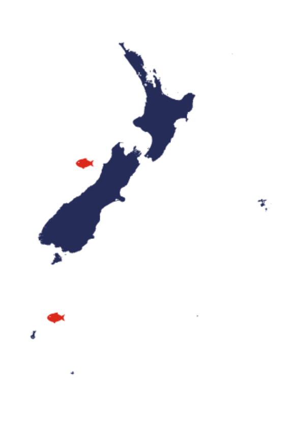 Talleys Group Limited | Seafood Species, White-Warehou